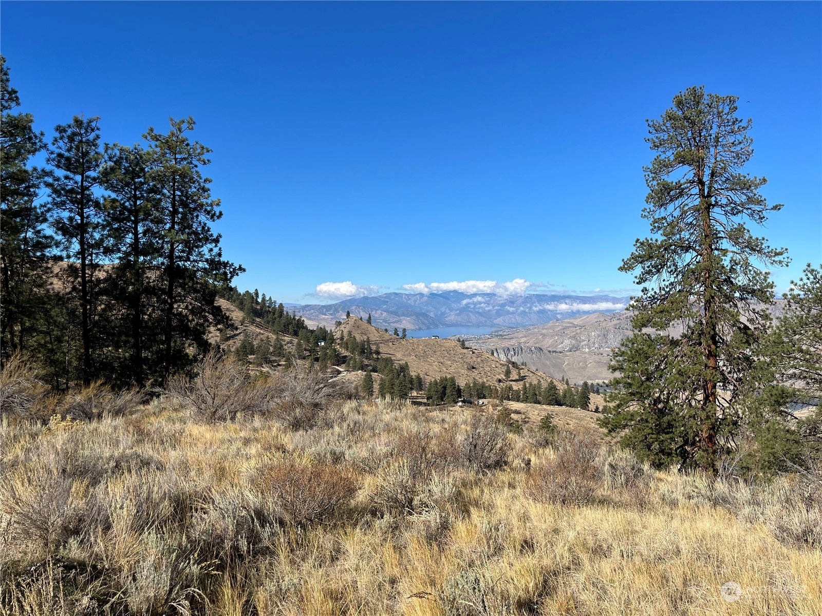 Orondo Land For Sale in Orondo WA | Wicklund