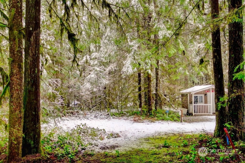 Glen at Maple Falls - Homes For Sale in Glen at Maple Falls, Maple ...